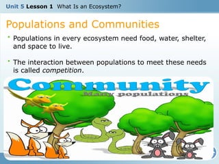 Unit 5 Lesson 1 | What Is an Ecosystem | PowerPoint | PPTX