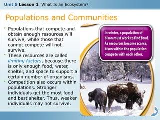 Unit 5 Lesson 1 | What Is an Ecosystem | PowerPoint | PPTX
