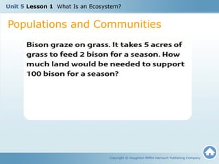 Unit 5 Lesson 1 | What Is an Ecosystem | PowerPoint | PPTX