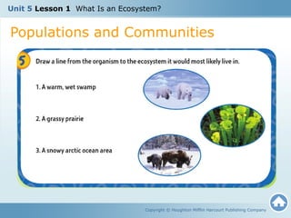 Unit 5 Lesson 1 | What Is an Ecosystem | PowerPoint | PPTX