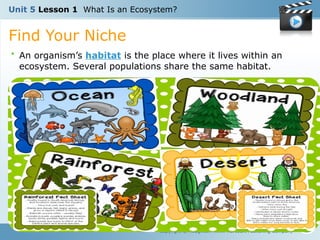 Unit 5 Lesson 1 | What Is an Ecosystem | PowerPoint | PPTX