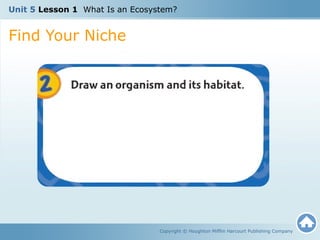 Unit 5 Lesson 1 | What Is an Ecosystem | PowerPoint | PPTX