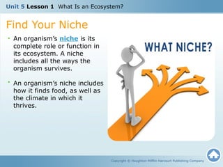 Unit 5 Lesson 1 | What Is an Ecosystem | PowerPoint | PPTX