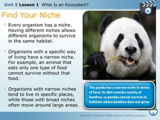 Unit 5 Lesson 1 | What Is an Ecosystem | PowerPoint | PPTX