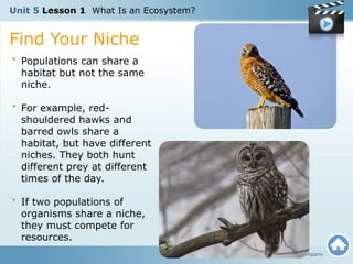 Unit 5 Lesson 1 | What Is an Ecosystem | PowerPoint | PPTX