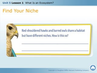 Unit 5 Lesson 1 | What Is an Ecosystem | PowerPoint | PPTX