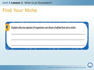 Unit 5 Lesson 1 | What Is an Ecosystem | PowerPoint | PPTX