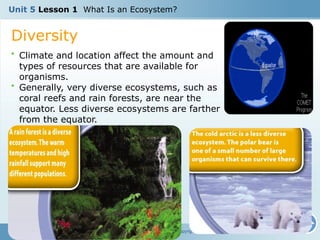 Unit 5 Lesson 1 | What Is an Ecosystem | PowerPoint | PPTX