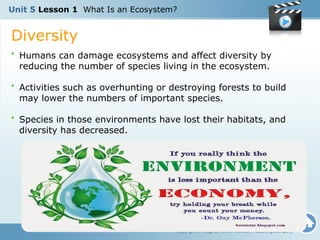 Unit 5 Lesson 1 | What Is an Ecosystem | PowerPoint | PPTX