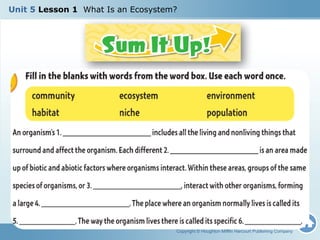 Unit 5 Lesson 1 | What Is an Ecosystem | PowerPoint | PPTX
