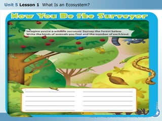 Unit 5 Lesson 1 | What Is an Ecosystem | PowerPoint | PPTX