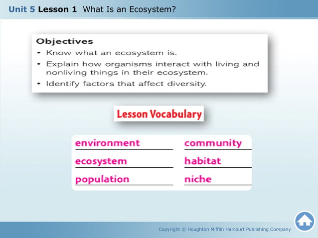 Unit 5 Lesson 1 | What Is an Ecosystem | PowerPoint | PPTX