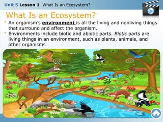 Unit 5 Lesson 1 | What Is an Ecosystem | PowerPoint | PPTX