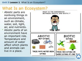 Unit 5 Lesson 1 | What Is an Ecosystem | PowerPoint | PPTX