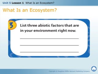 Unit 5 Lesson 1 | What Is an Ecosystem | PowerPoint | PPTX