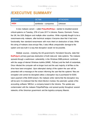 NotPetya Report | DOCX
