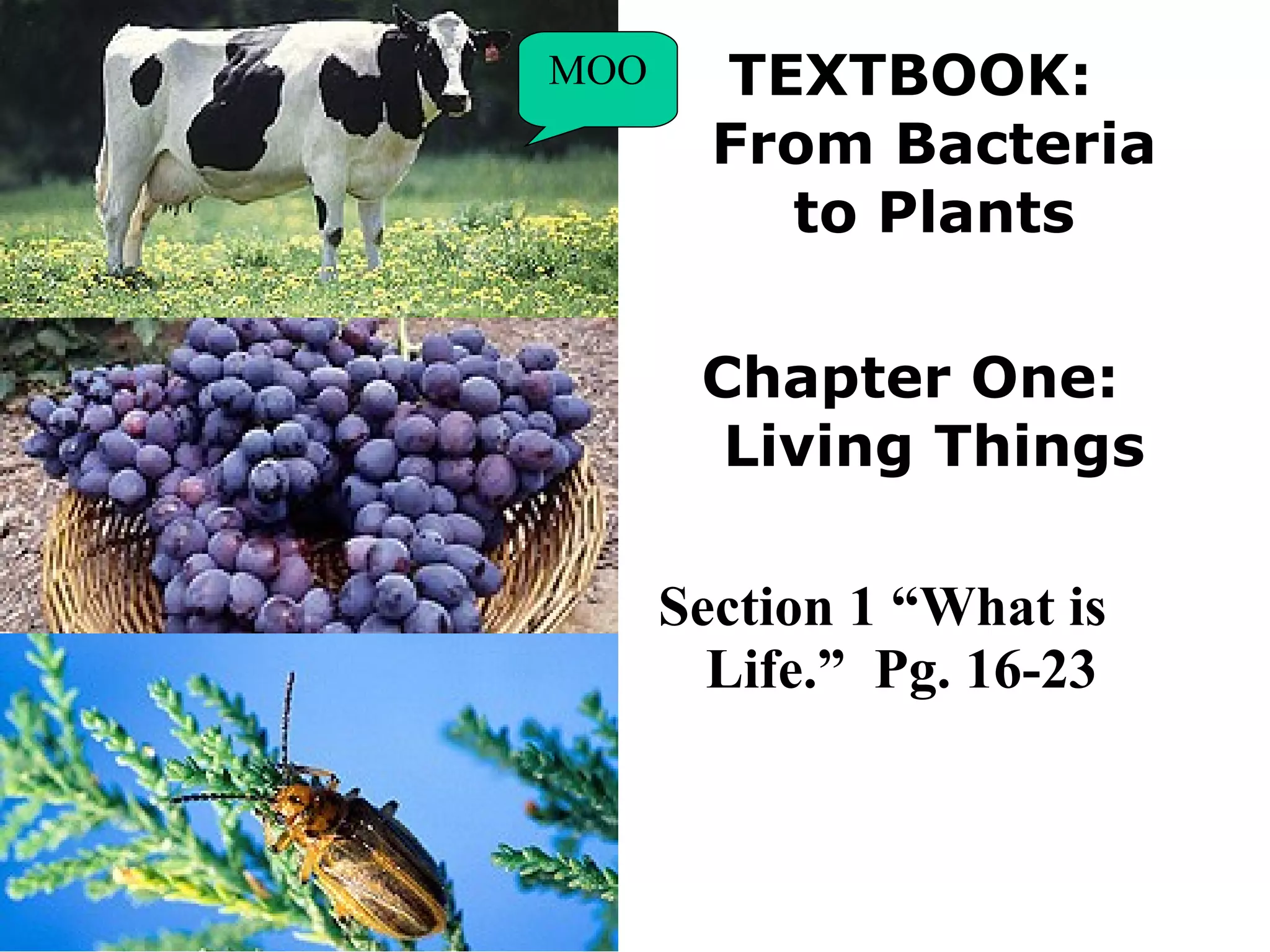 Whatis Life.ClassificationNotes#1 | PPT