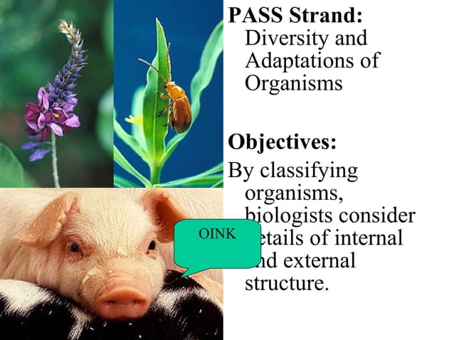 Whatis Life.ClassificationNotes#1 | PPT