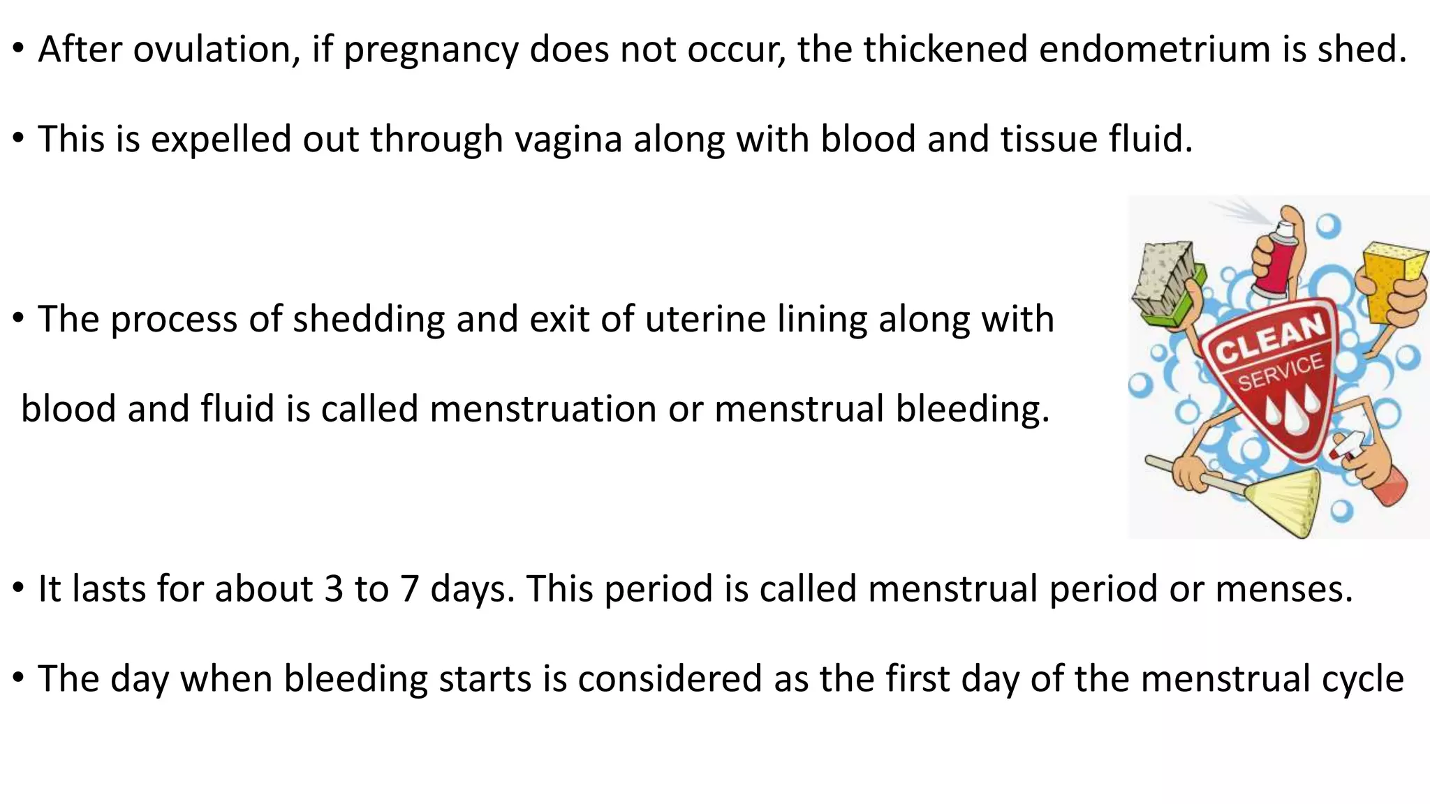 What is Menstruation? Why?How?What?When? All FAQs | PPTX