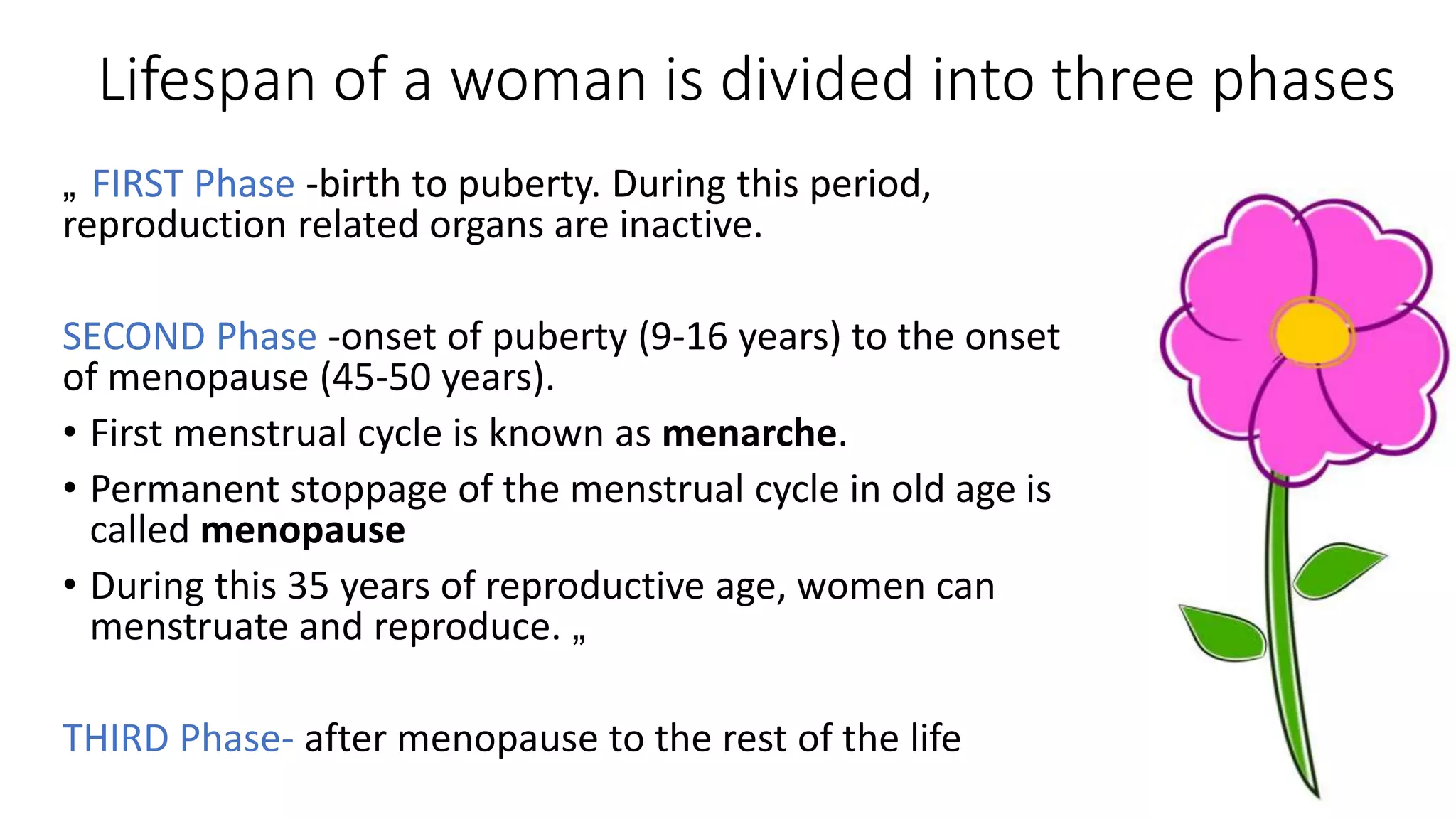What is Menstruation? Why?How?What?When? All FAQs | PPTX