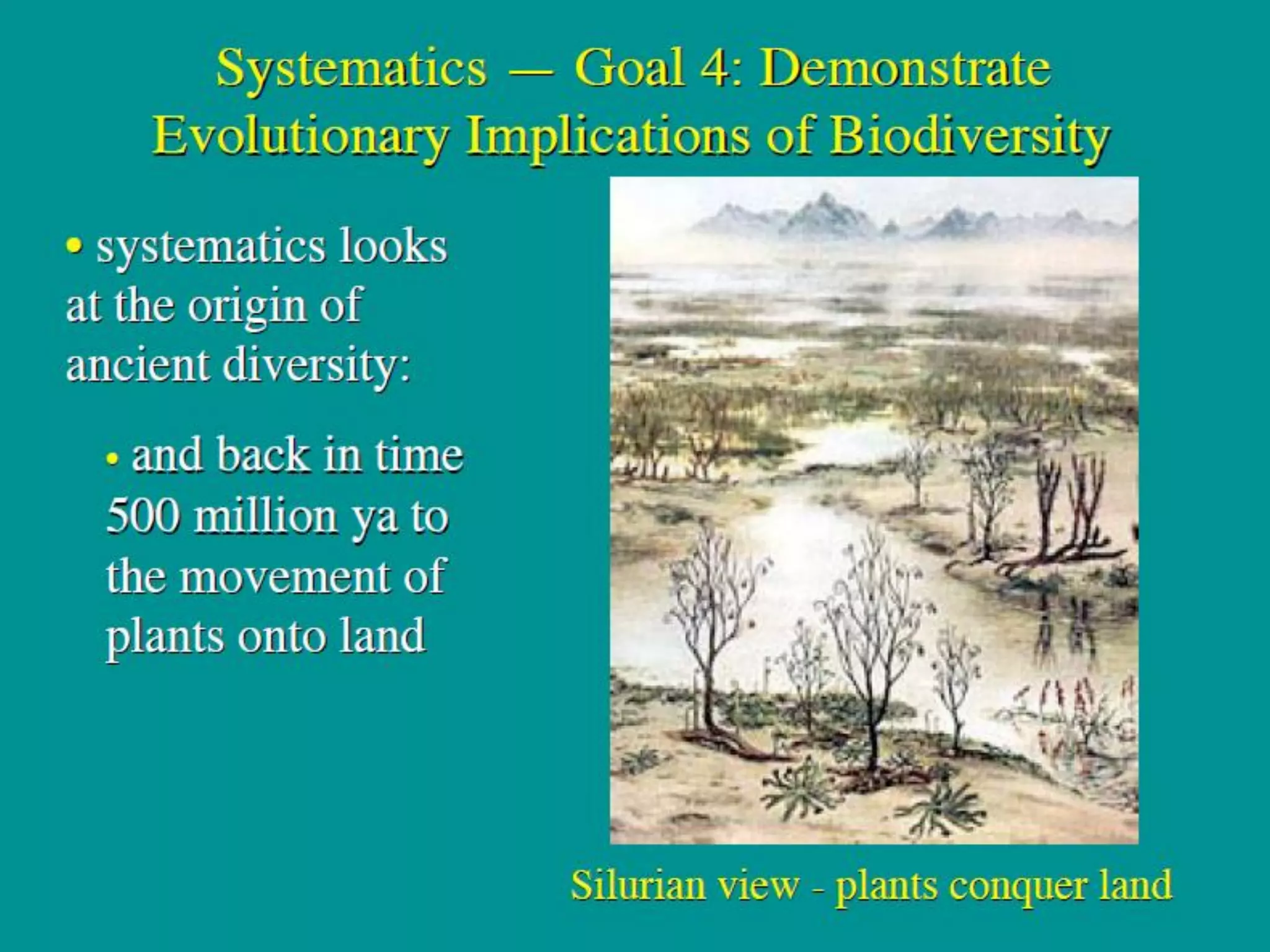 What is Systematics | PDF