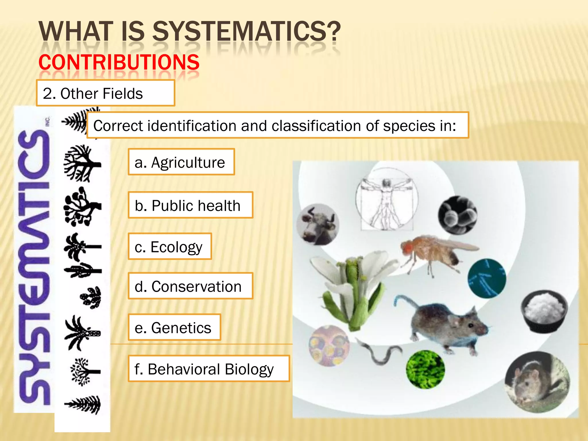 What is Systematics | PPT