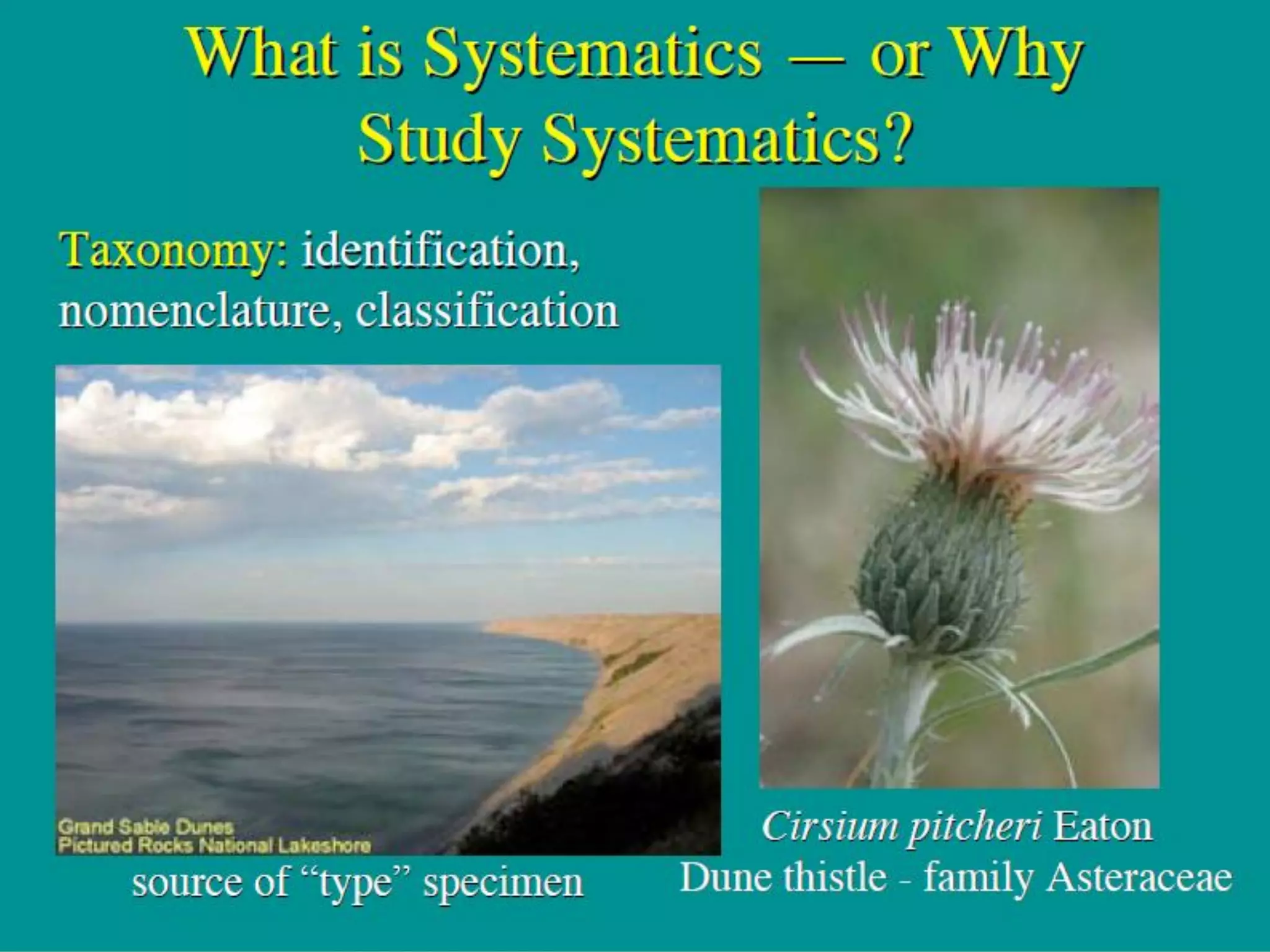 What is Systematics | PDF
