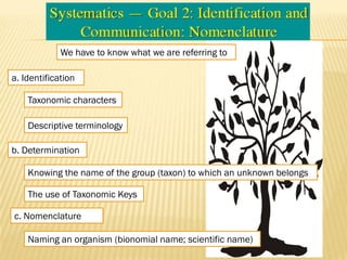 What is Systematics | PDF