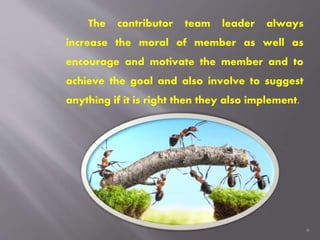 who is-contributor | PPT