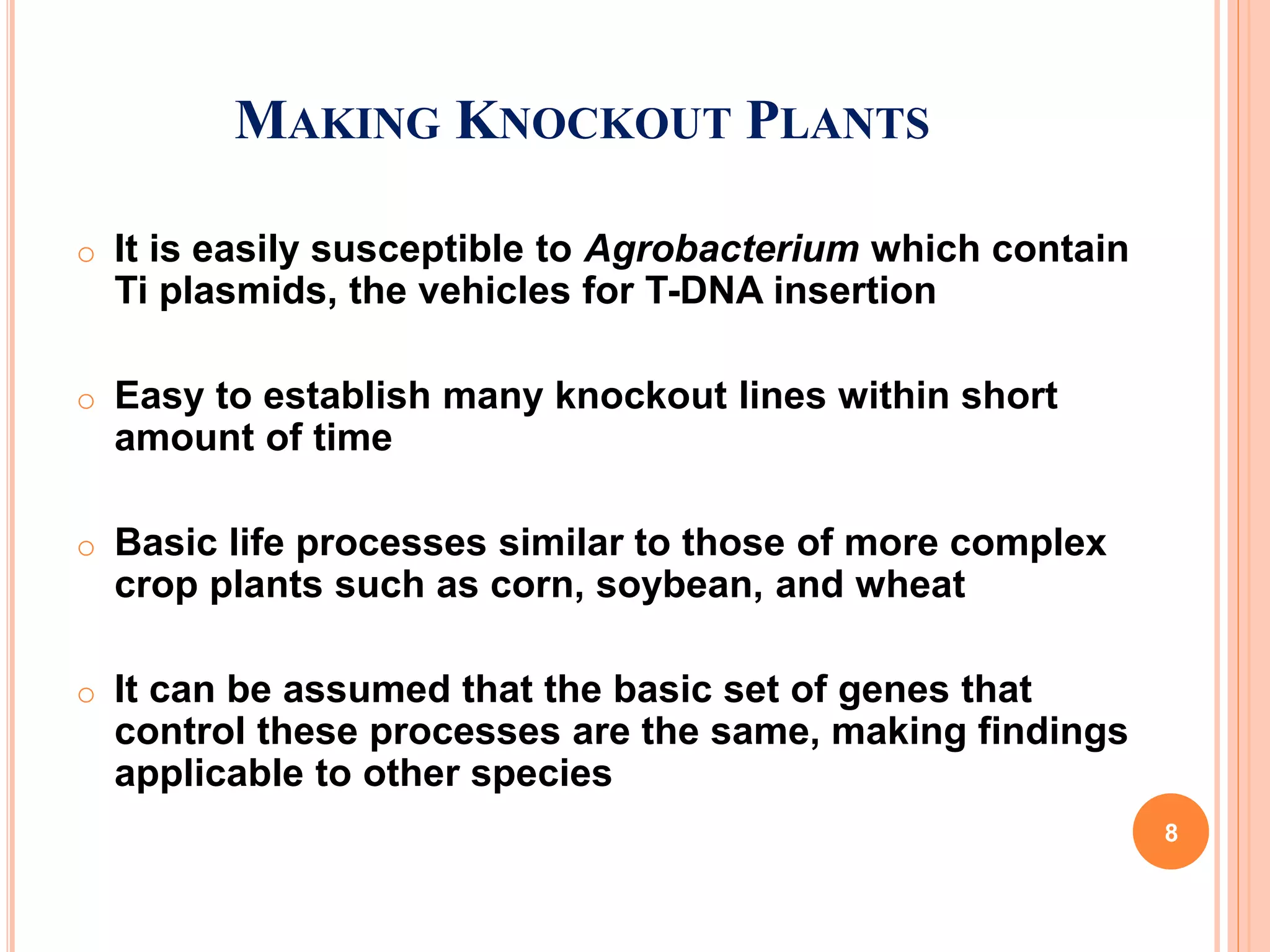 Why arabidopsis is a model plant | PPTX