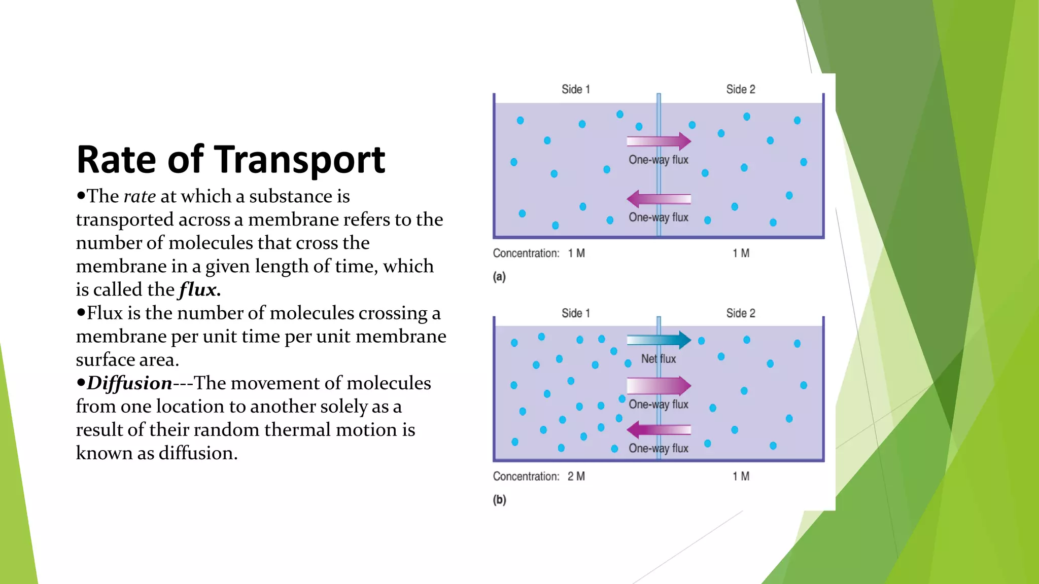 Lecture on cell membrane transport | PDF