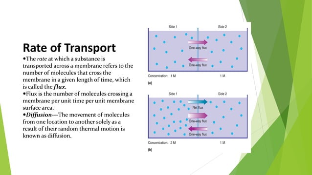 Lecture on cell membrane transport | PPT