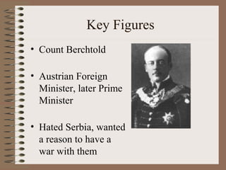 world war i causes | PPT