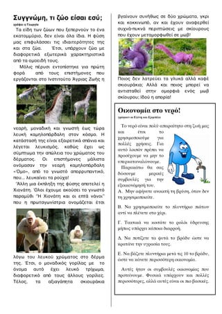 Εφημερίδα ΣΤ Τάξης Βώρων | PDF