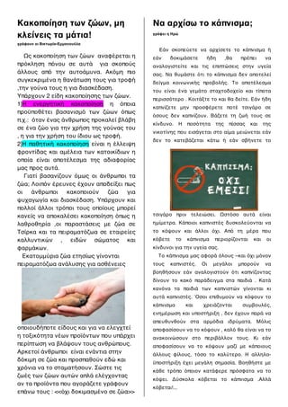 Εφημερίδα ΣΤ Τάξης Βώρων | PDF