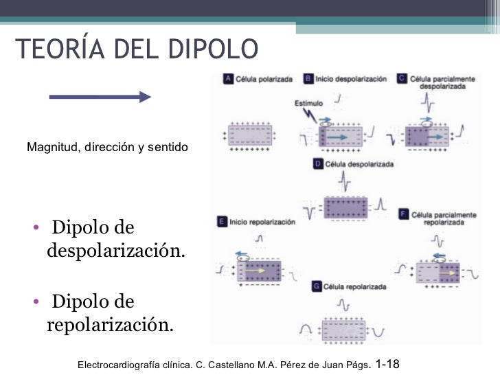 Descubre la Teoría del Dipolo: Explicación Sencilla y Completa ★ Teoría ...