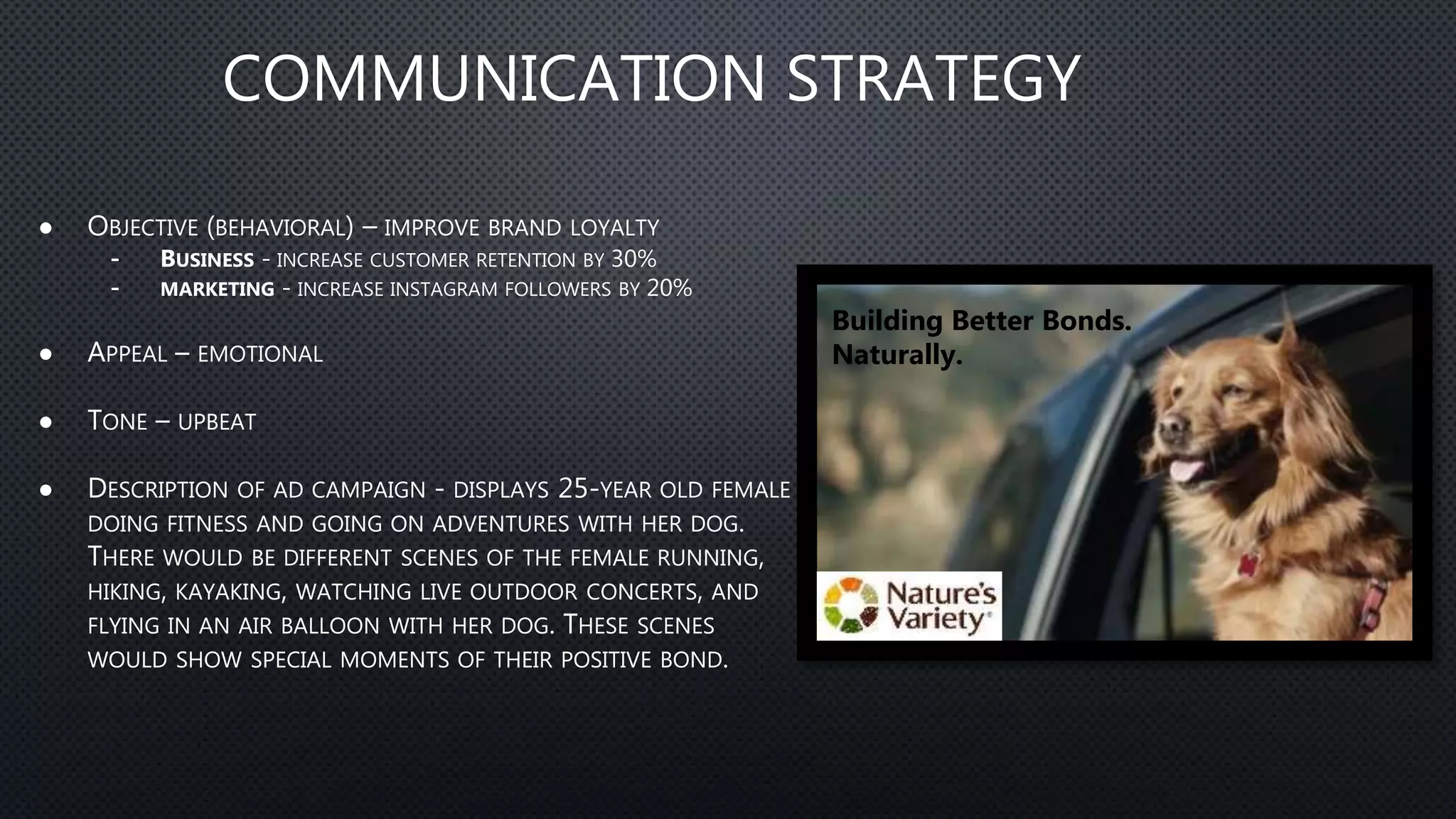 Relaunch and Communications Strategy for Affinity Pet Care | PPTX