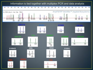 y str markers | PPTX
