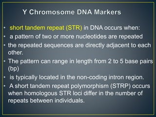 y str markers | PPTX