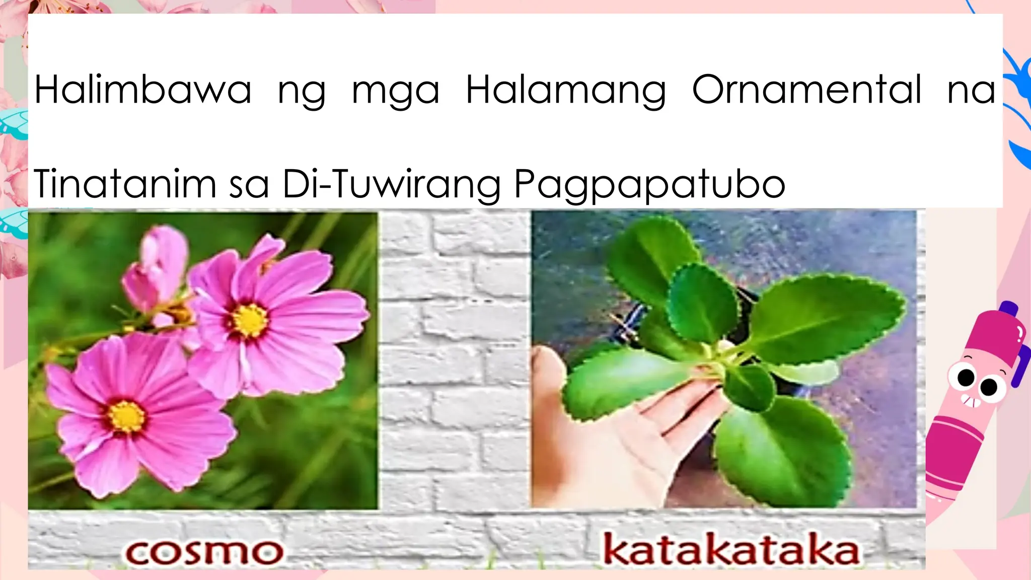 Paraan ng pagtatanim ng Halamang Ornamental.pptx