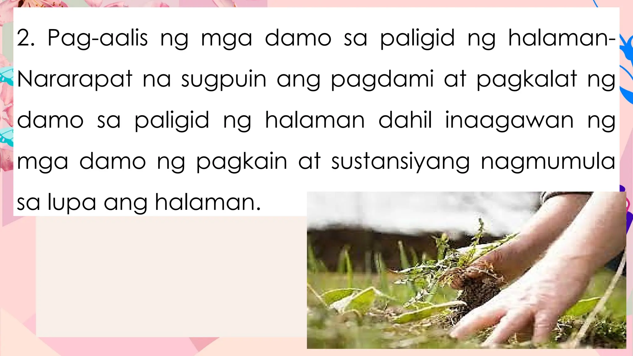 Paraan ng pagtatanim ng Halamang Ornamental.pptx