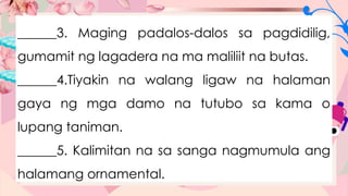Paraan ng pagtatanim ng Halamang Ornamental.pptx