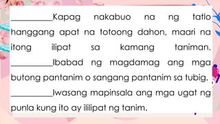 Paraan ng pagtatanim ng Halamang Ornamental.pptx