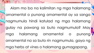 Paraan ng pagtatanim ng Halamang Ornamental.pptx