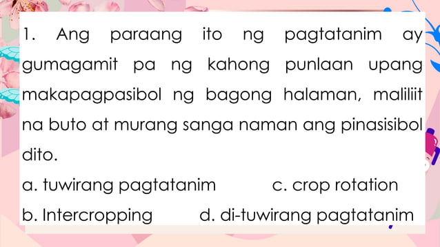 Paraan ng pagtatanim ng Halamang Ornamental.pptx