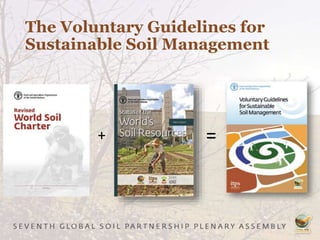 Implementation of the Voluntary Guidelines for Sustainable Soil ...