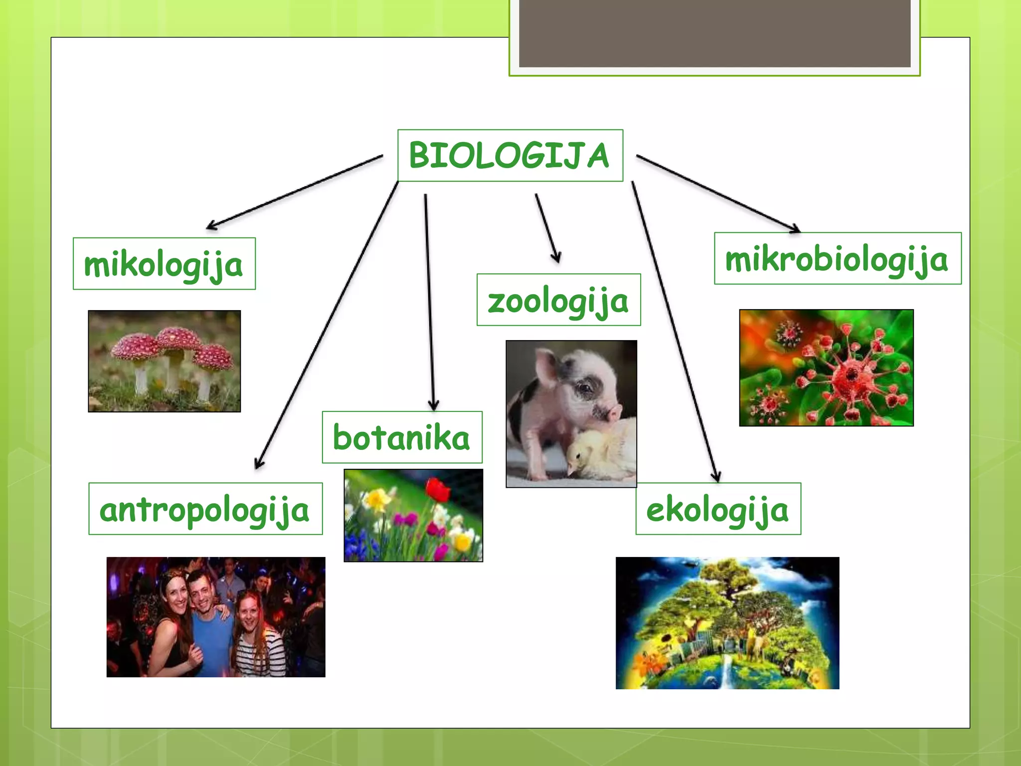 1 Ziva bica, neziva priroda i biologija | PPTX
