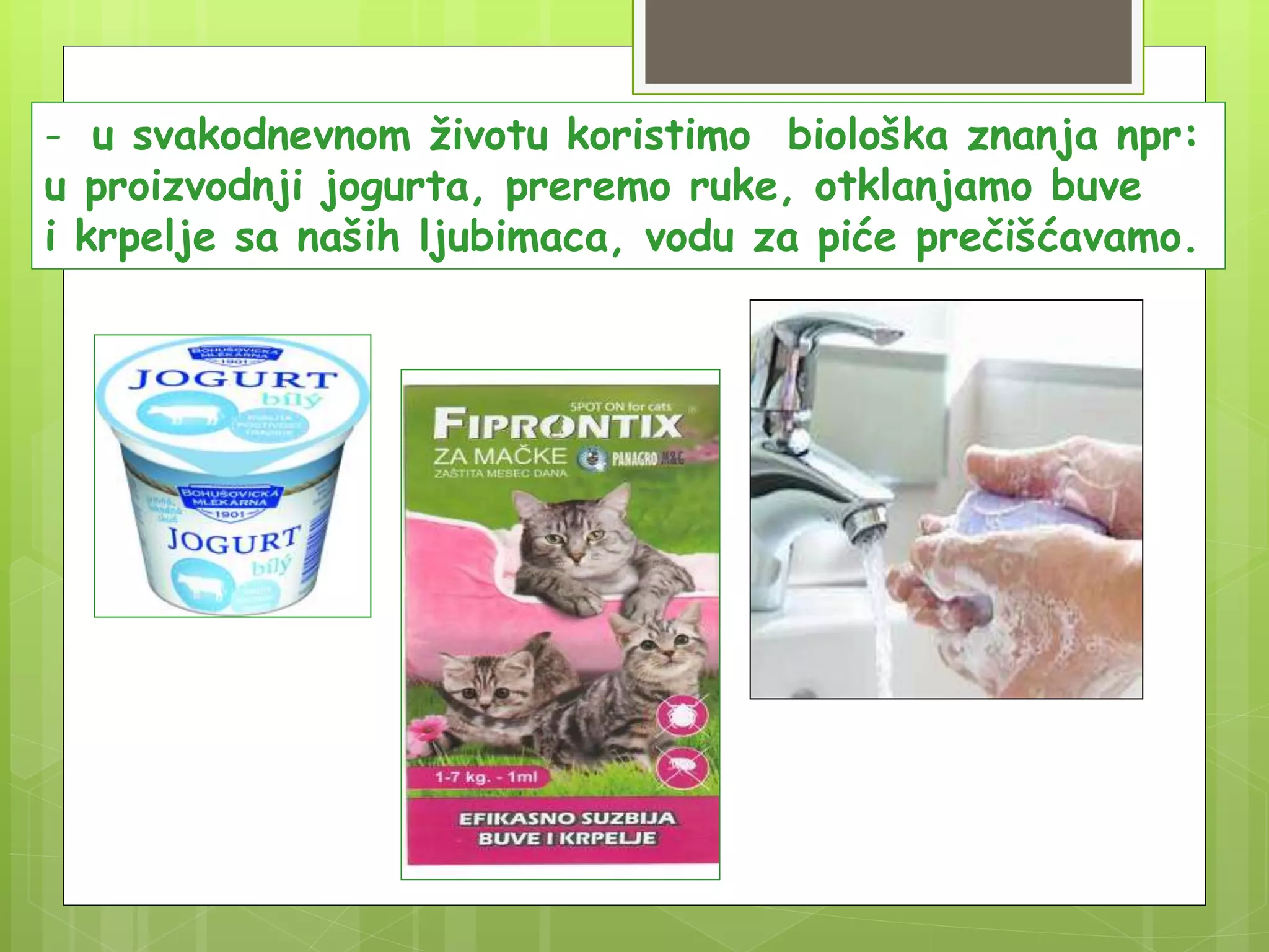 1 Ziva bica, neziva priroda i biologija | PPTX