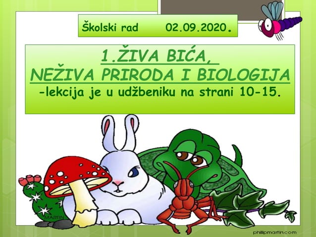 1 Ziva bica, neziva priroda i biologija | PPTX
