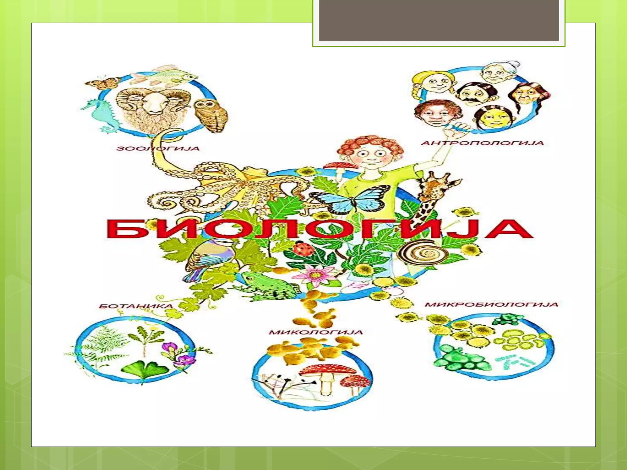 1 ziva bica, neziva priroda i biologija | PPTX